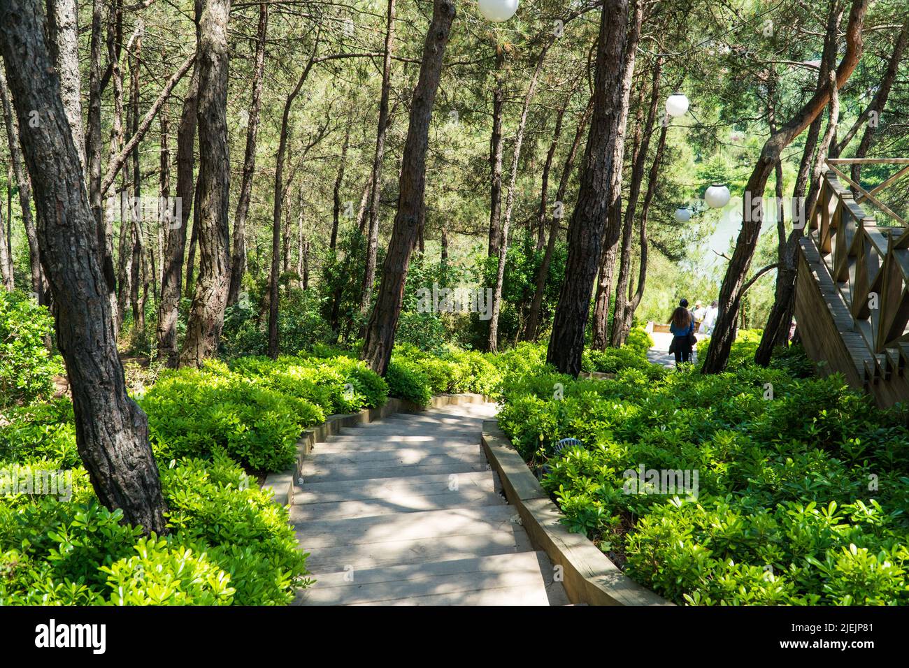 Ataturk Kent Ormani in Istanbul Turkey. Ataturk Forest. Green spaces in ...