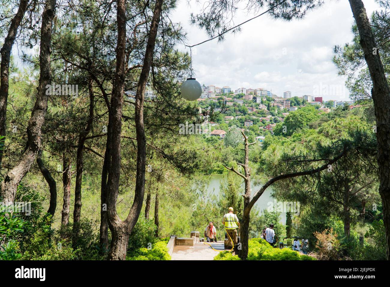 Ataturk Kent Ormani in Istanbul Turkey. Ataturk Forest. Green spaces in ...