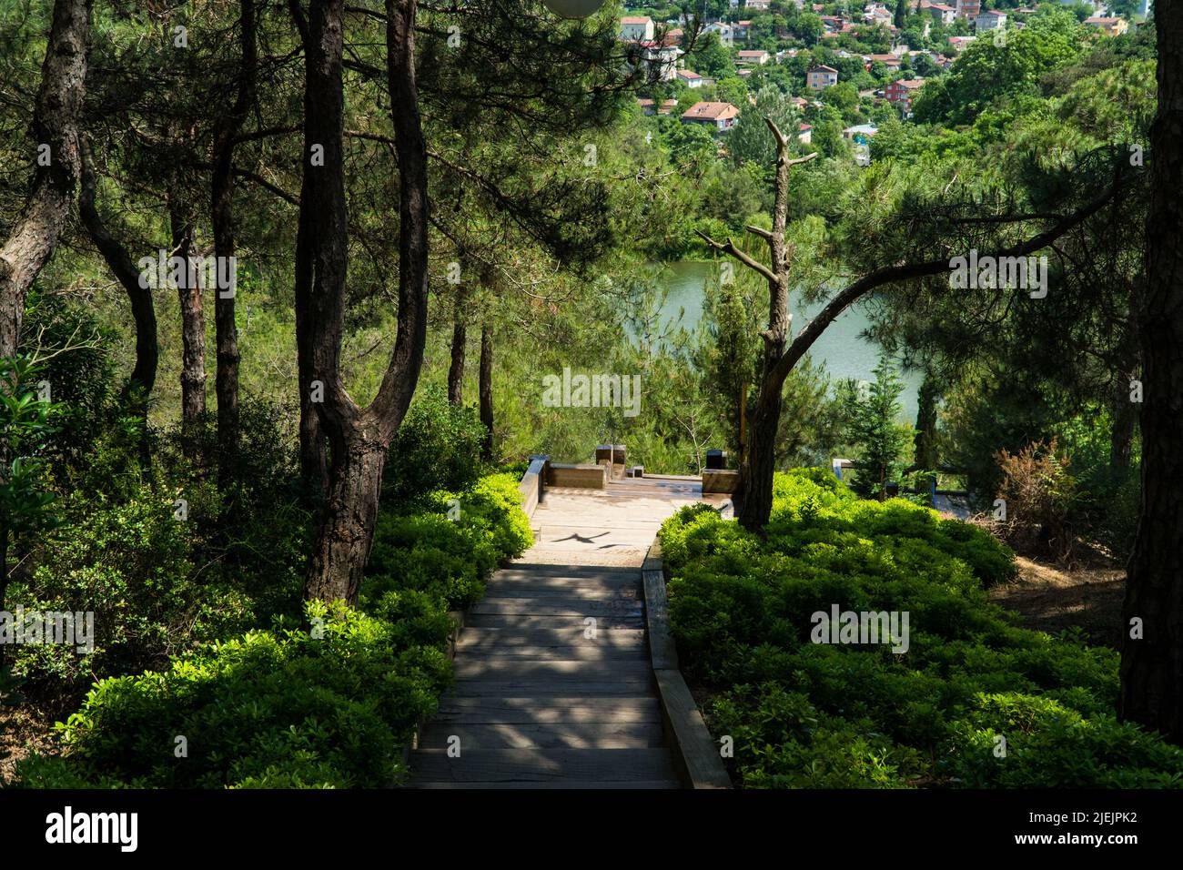 Ataturk Kent Ormani in Istanbul Turkey. Ataturk Forest. Green spaces in ...