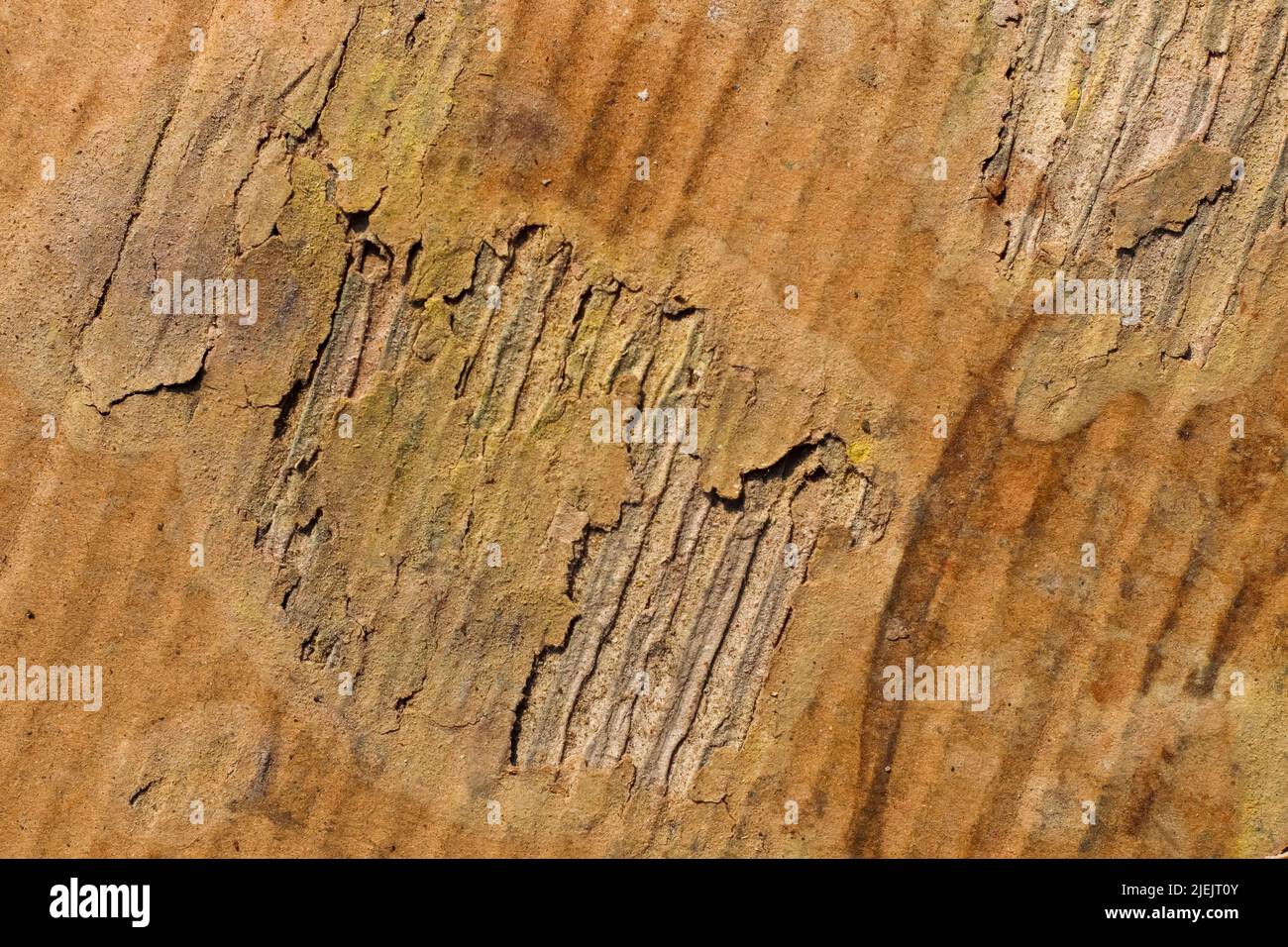 The object was corroded by chemicals and dangerous Stock Photo - Alamy