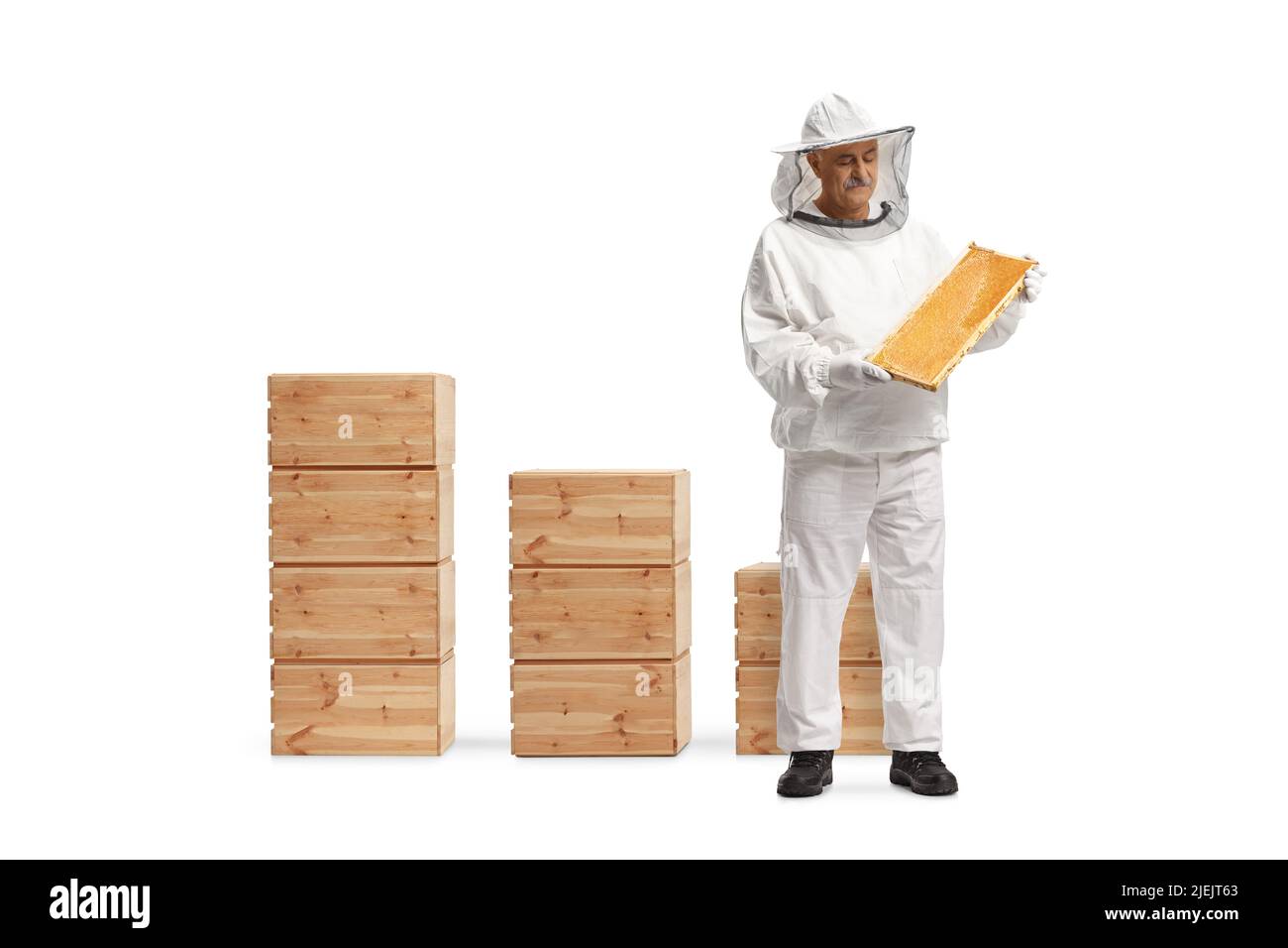 Mature male bee keeper in a uniform holding a honeybee frame in front ...