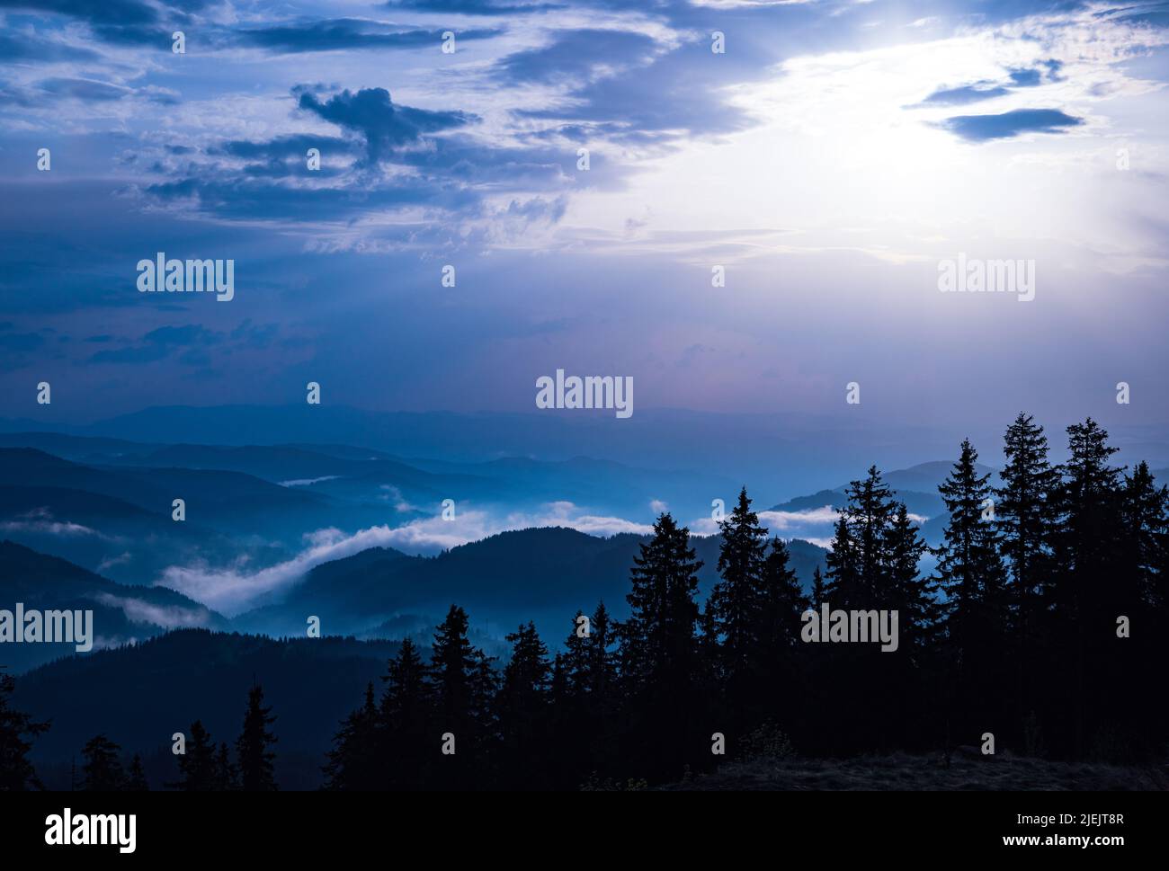 Cold cloudy rainy weather over low hills covered with spruce evergreen ...