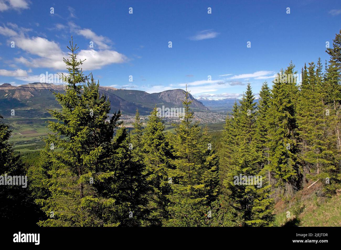 Landscape with view of Coyhaique in the background, Chile. Coyhaique is ...