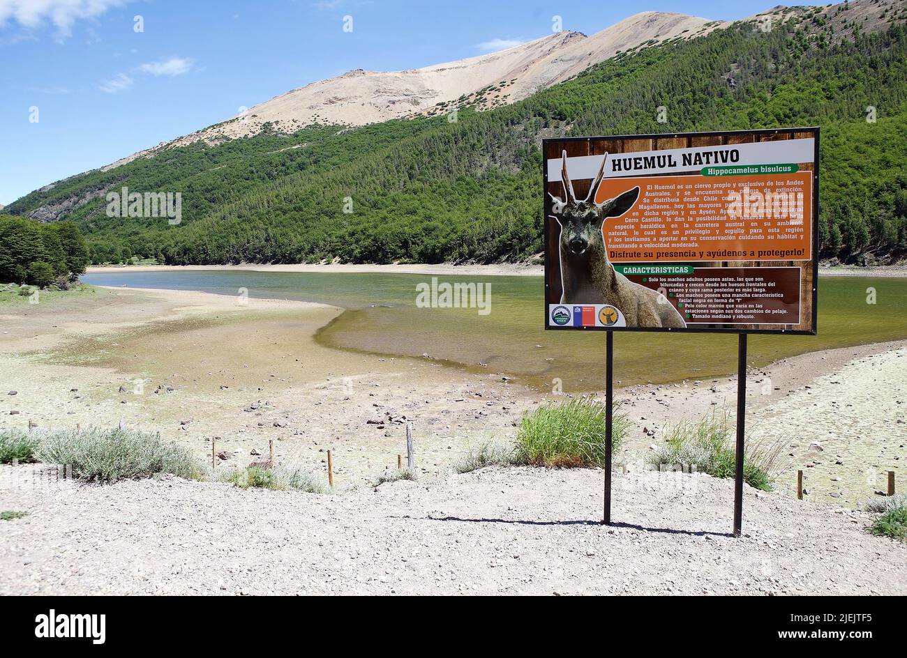 Huemul Lagoon in Patagonia, Chile. Huemul is the south andean deer ...