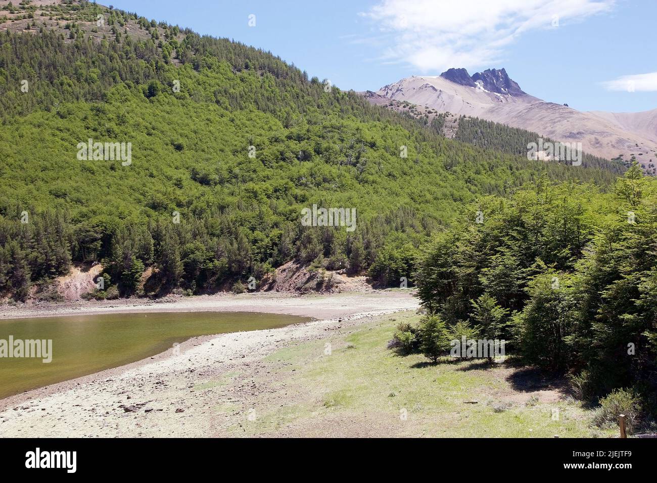 Huemul Lagoon in Patagonia, Chile. Huemul is the south andean deer ...