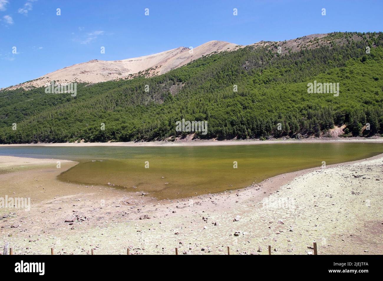 Huemul Lagoon in Patagonia, Chile. Huemul is the south andean deer ...