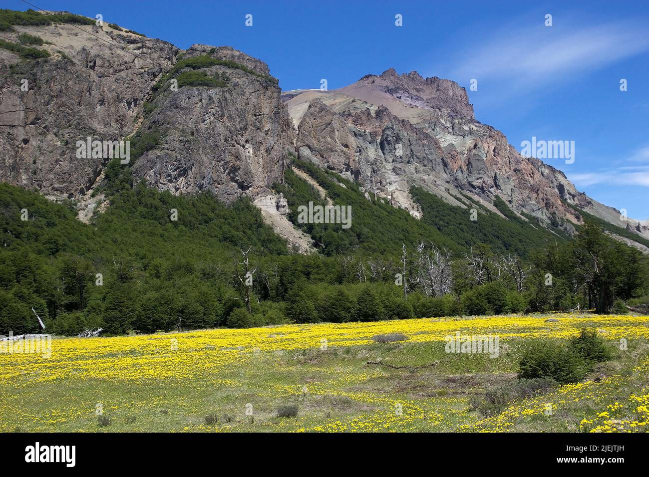 Mountain along the Carretera Austral in Chile. Carretera Austral is the ...