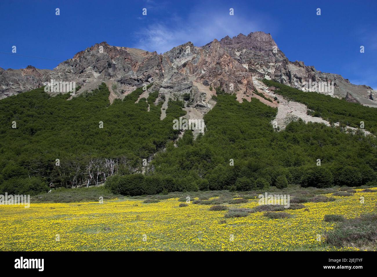Mountain and forest along the Carretera Austral in Chile. Carretera ...