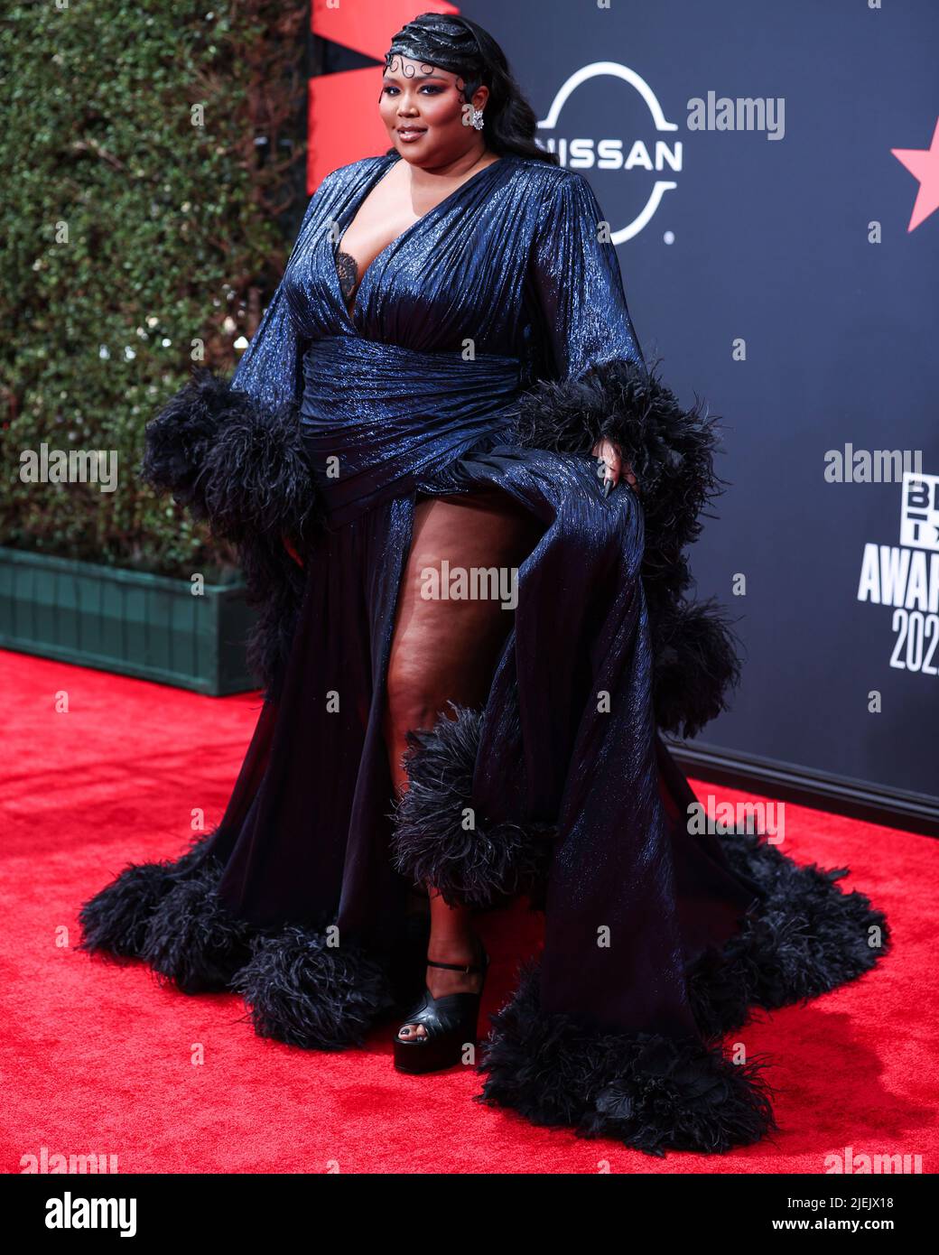 Feathered shoe hi-res stock photography and images - Alamy