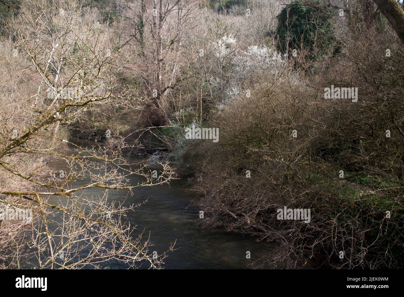 river mole at stepping stones box hill north downs surrey england Stock ...