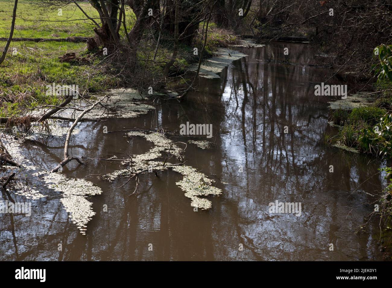 Stream river hi-res stock photography and images - Alamy