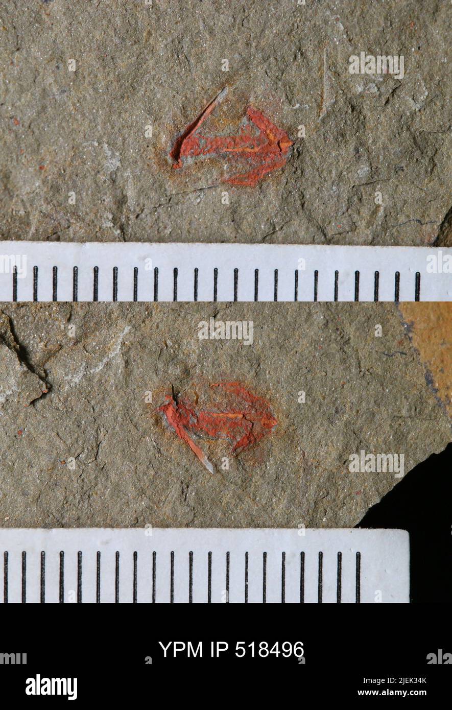 Problematica undetermined hi-res stock photography and images - Alamy