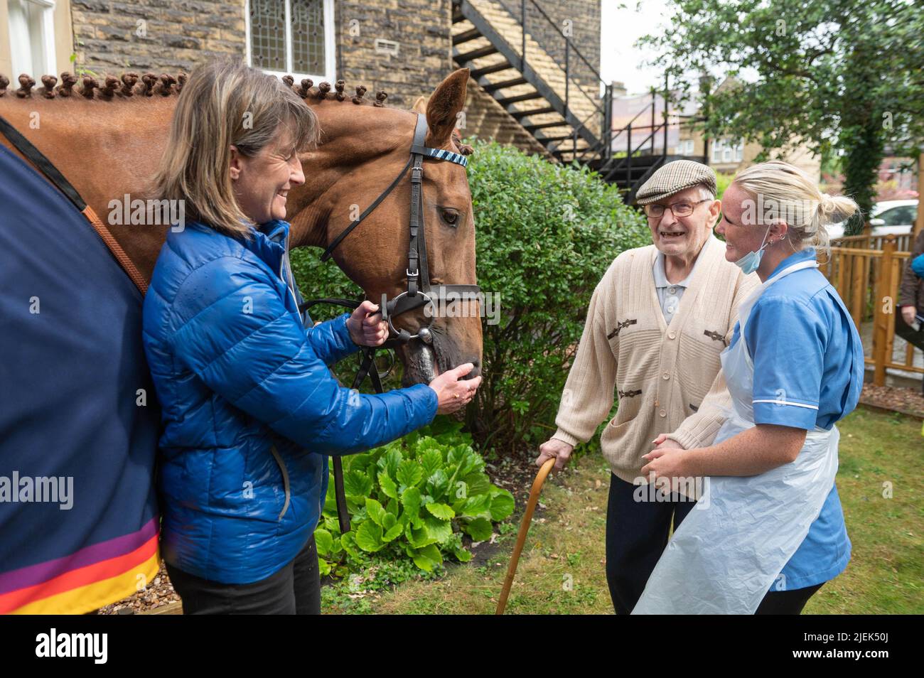 Sigurd horse hi-res stock photography and images - Alamy