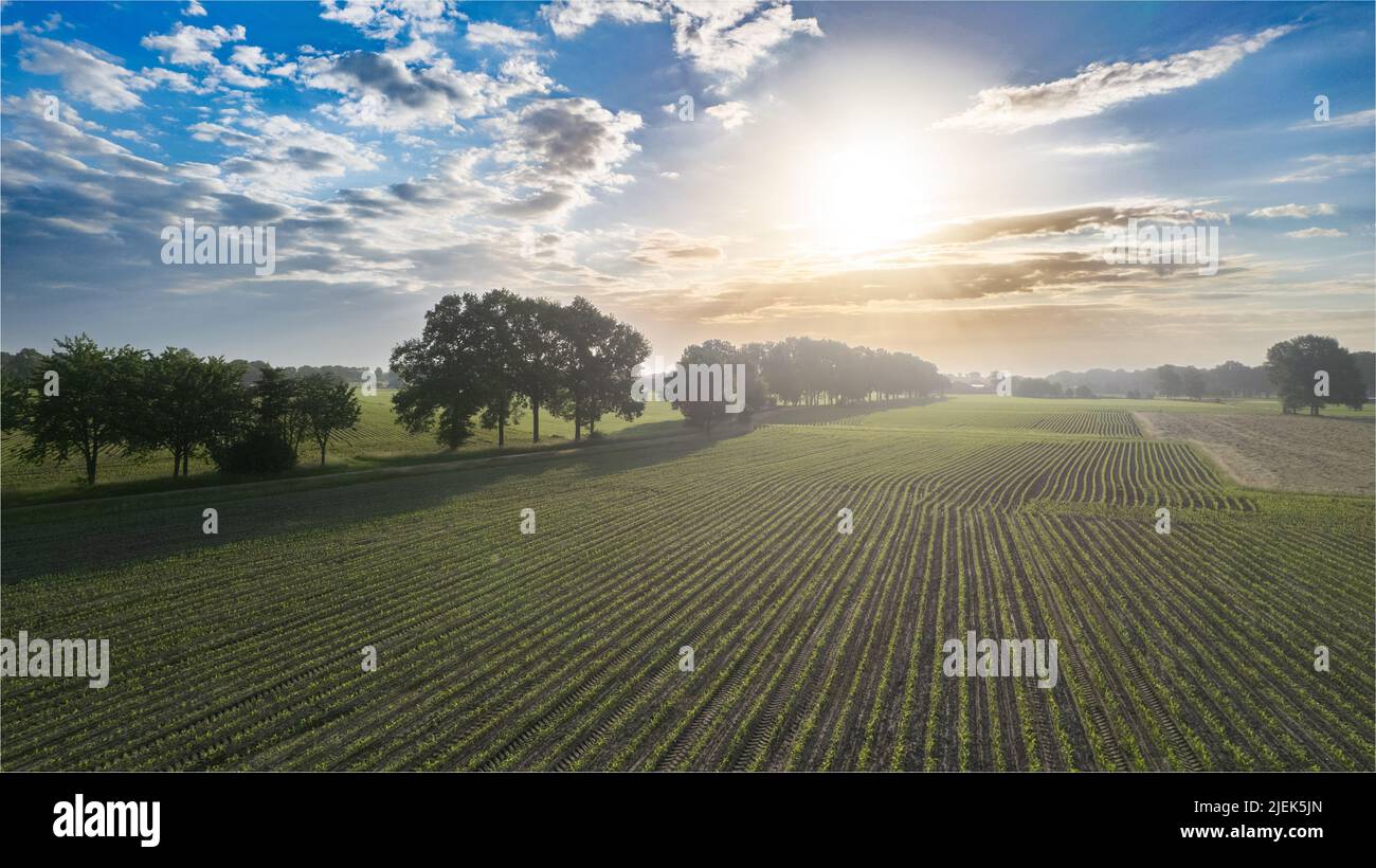 Boundless field hi-res stock photography and images - Alamy