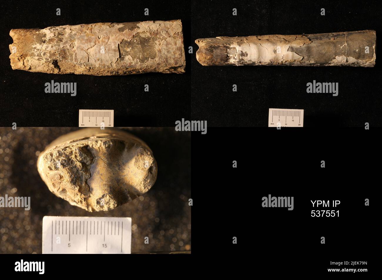 Perplexus hi-res stock photography and images - Alamy