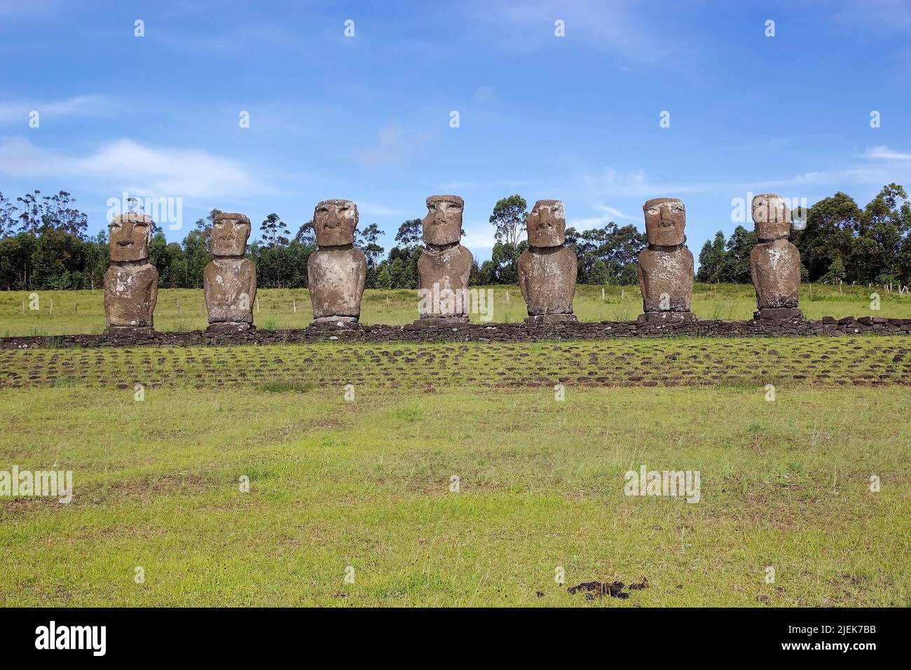 Ahu Akivi, Easter island, Chile. Ahu Akivi is a sacred place with seven ...
