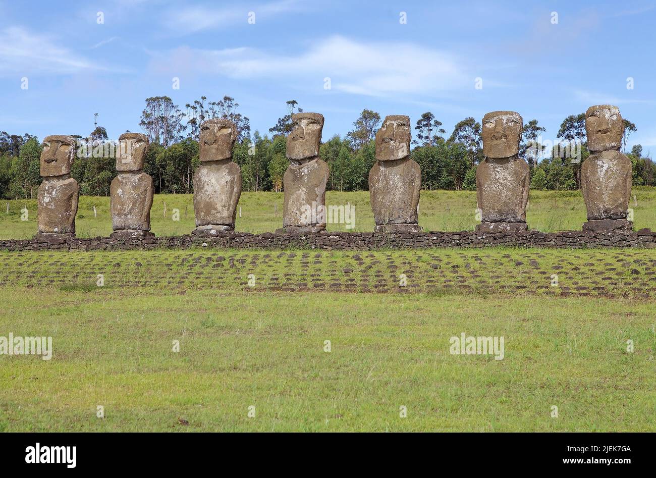 Ahu Akivi, Easter island, Chile. Ahu Akivi is a sacred place with seven ...
