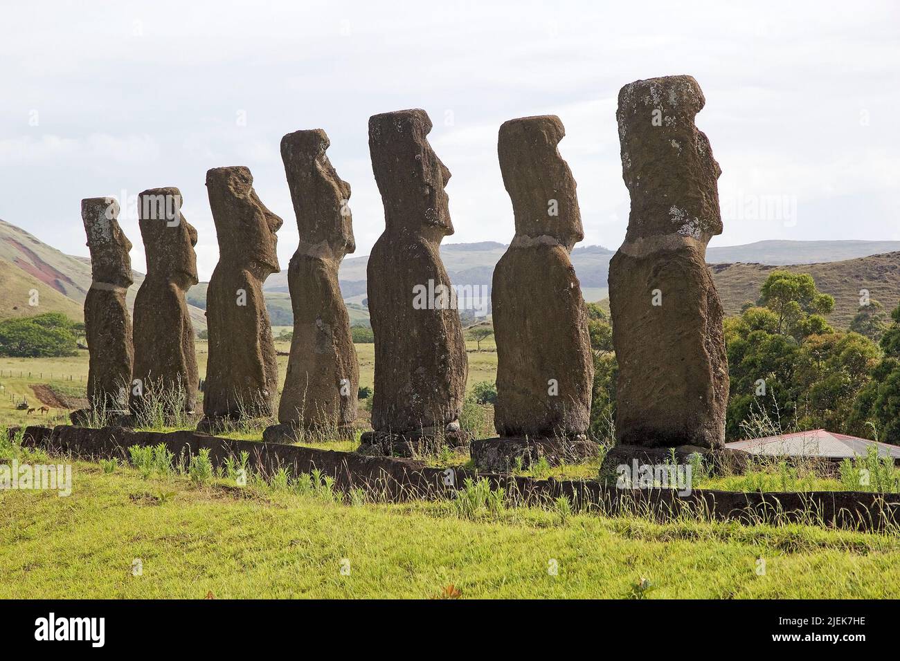 Ahu Akivi, Easter island, Chile. Ahu Akivi is a sacred place with seven ...