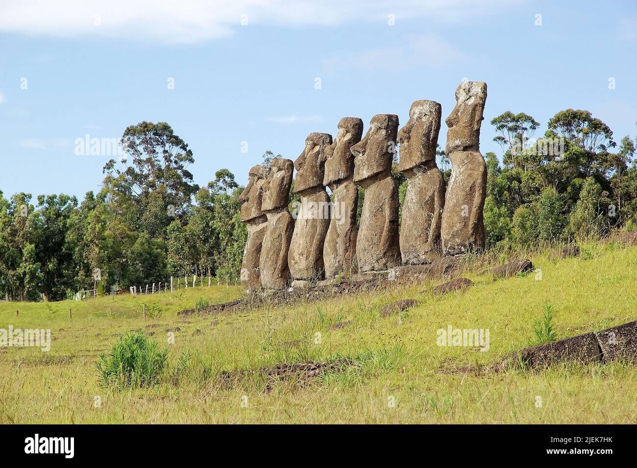 Ahu Akivi, Easter island, Chile. Ahu Akivi is a sacred place with seven ...