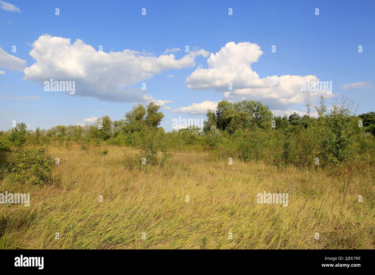 Summer landscape in Ukrainian steppe Stock Photo - Alamy