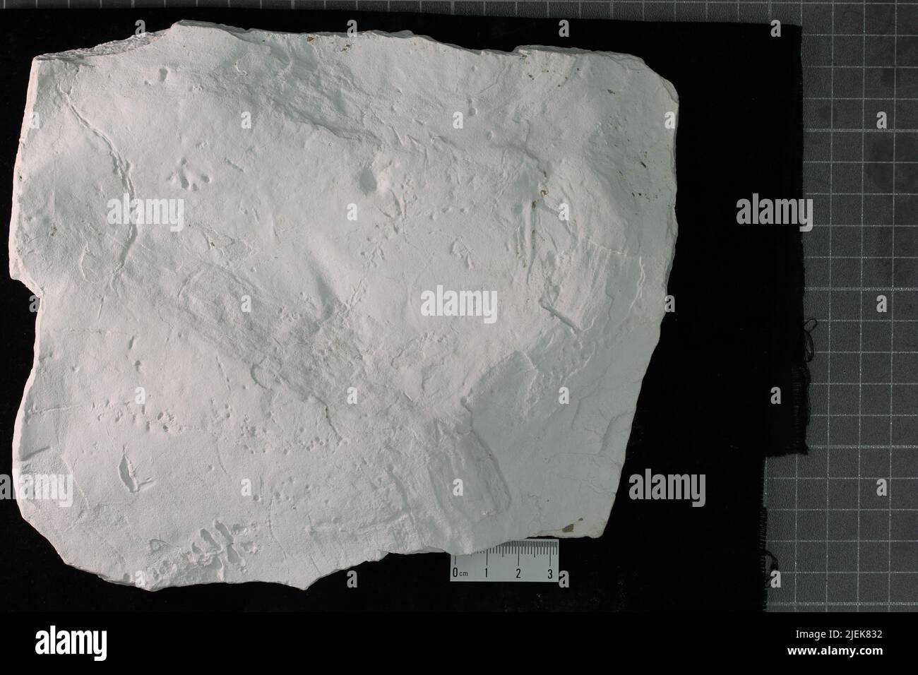 Pedum hi-res stock photography and images - Alamy