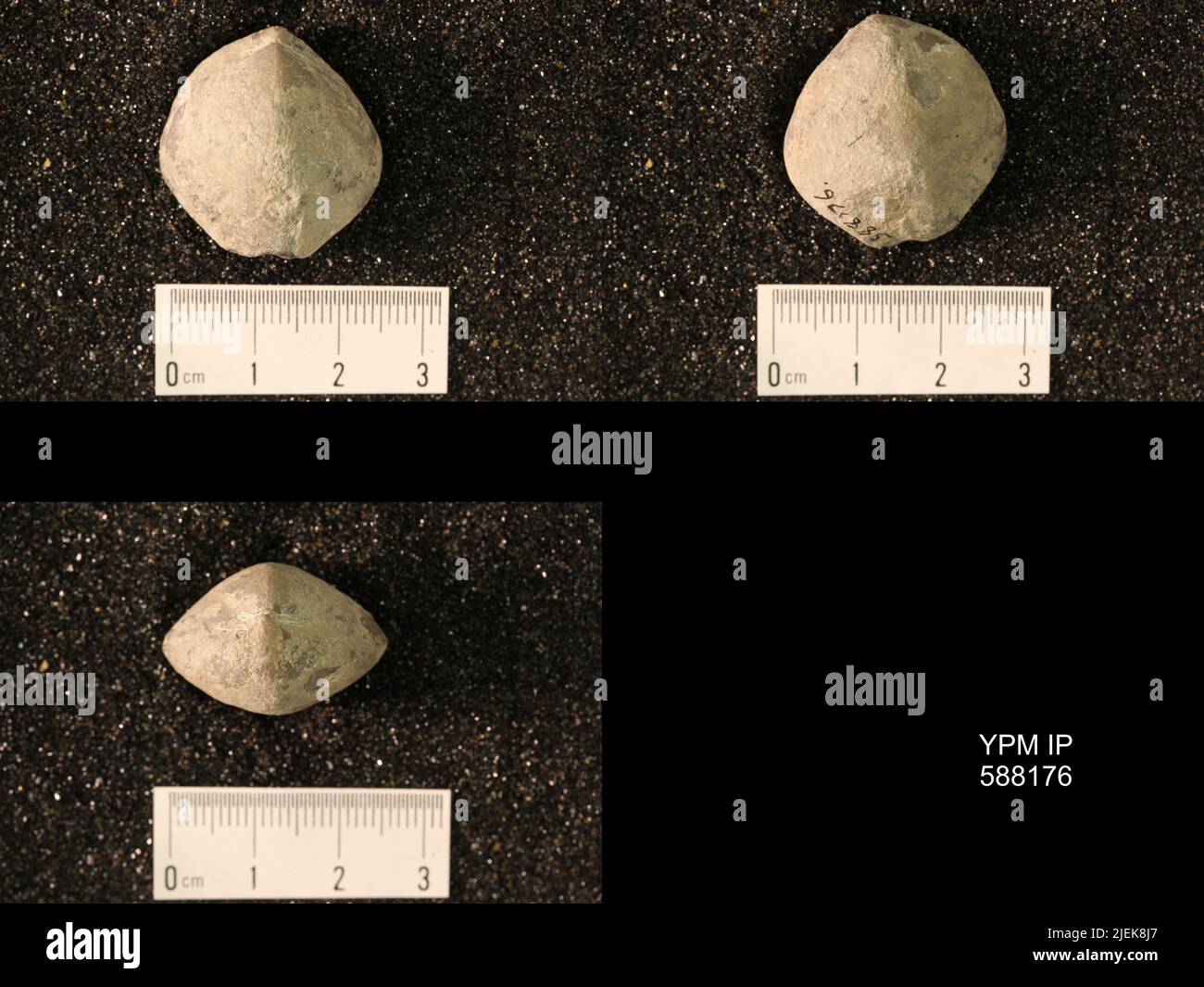 Meristina maria hall High Resolution Stock Photography and Images - Alamy