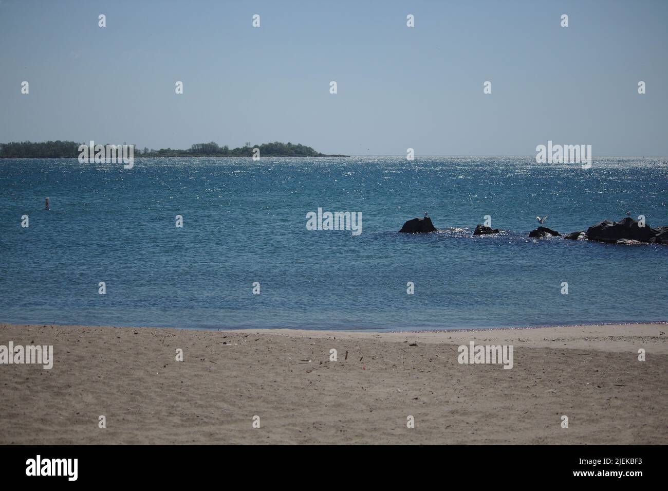 Toronto skyline from the Islands Stock Photo - Alamy