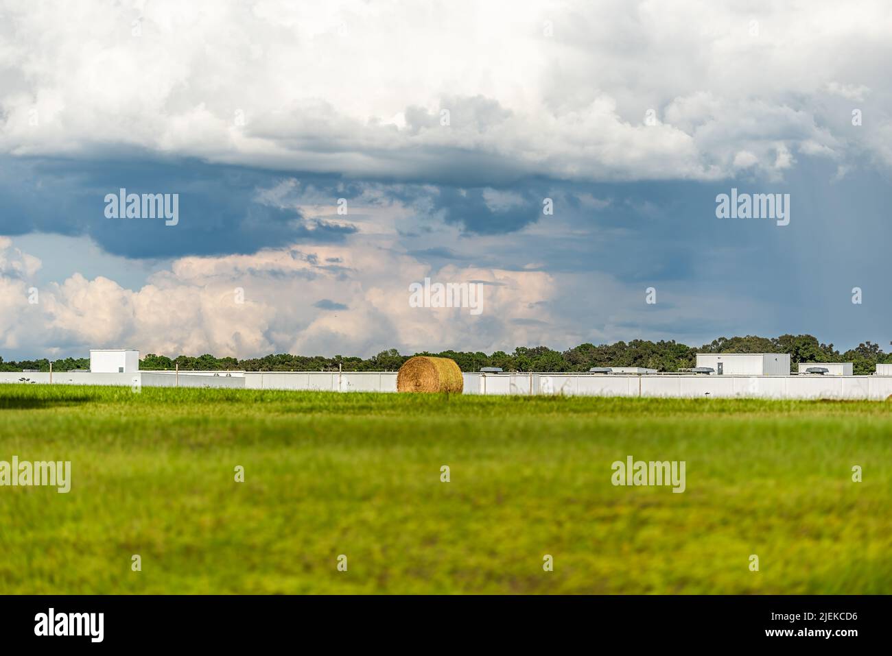 Florida farmland crop hi-res stock photography and images - Alamy