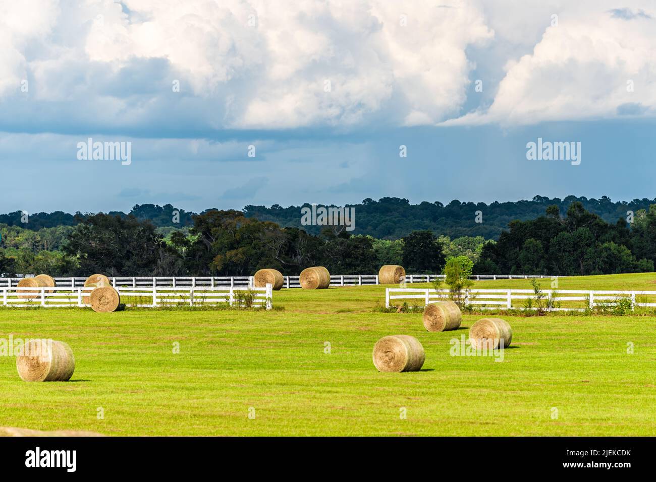 Hay roll bales on countryside field farm in Alachua in Florida, USA ...