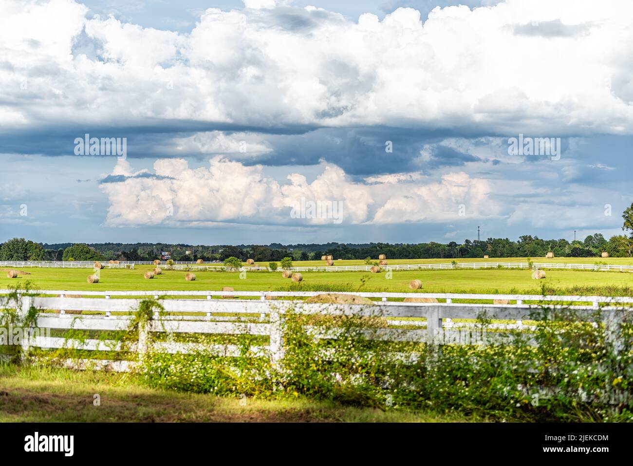Hay roll bales on countryside field in Alachua in Florida, USA rural ...