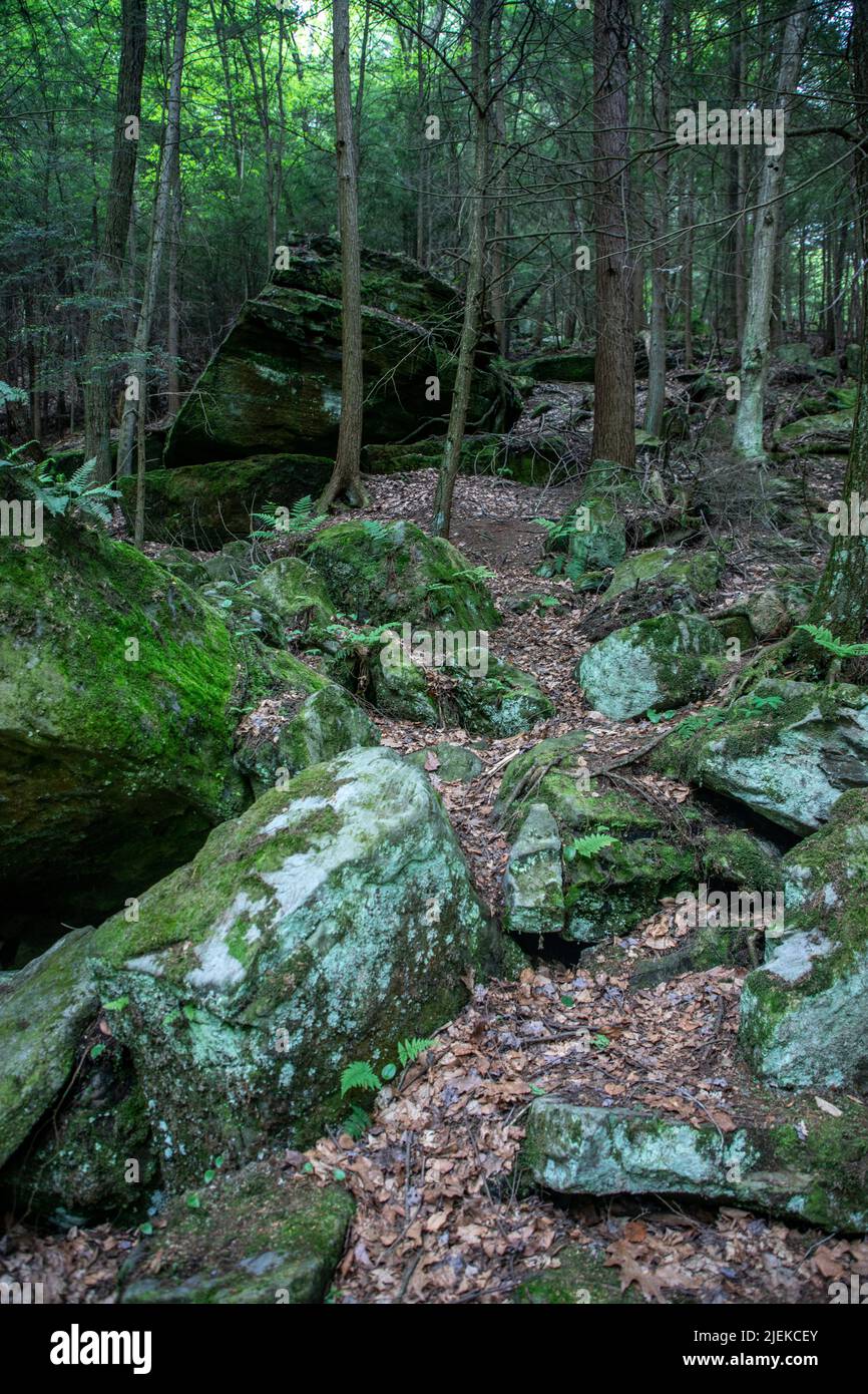McConnells Mill is a popular State Park in Western Pennsylvania. Its ...
