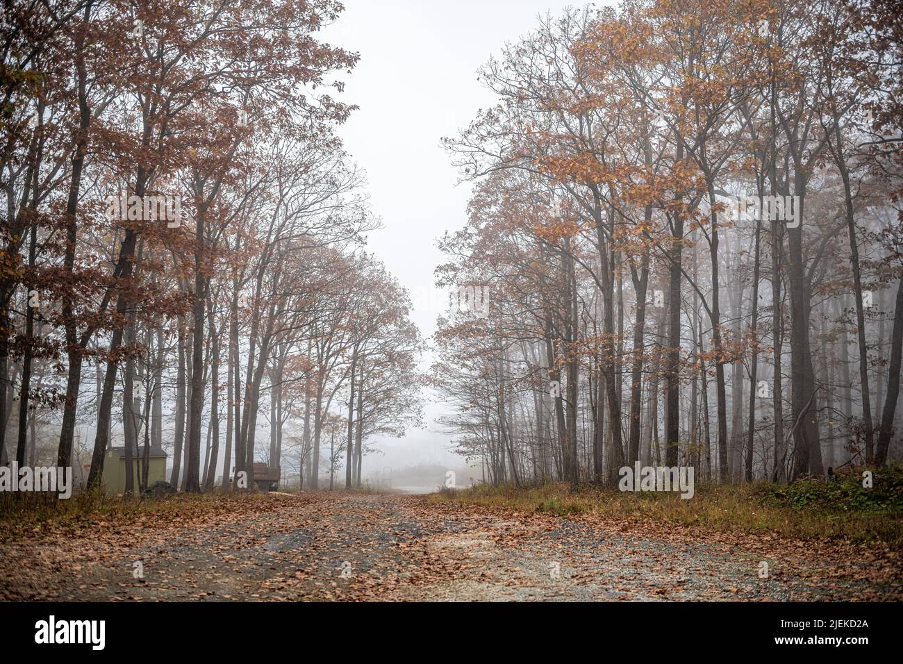 Countryside rural Blue Ridge mountain Grassy Ridge road in autumn fall ...