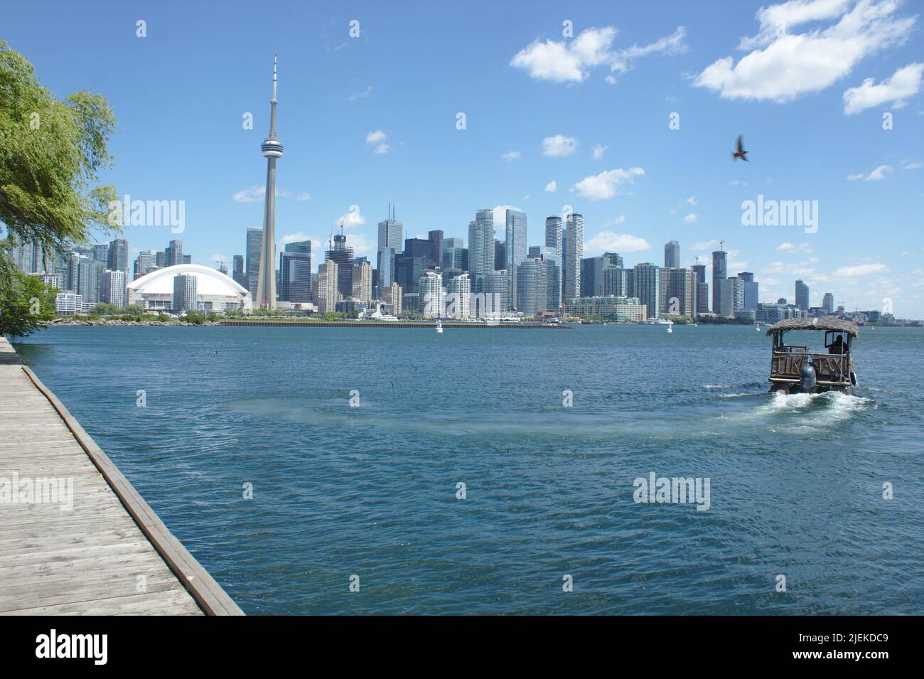 Toronto skyline from the Islands Stock Photo - Alamy