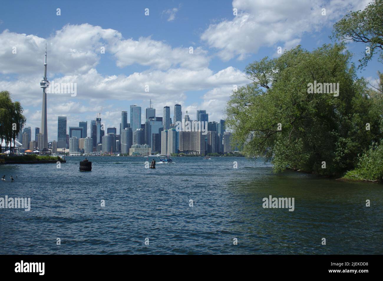 Toronto skyline from the Islands Stock Photo - Alamy