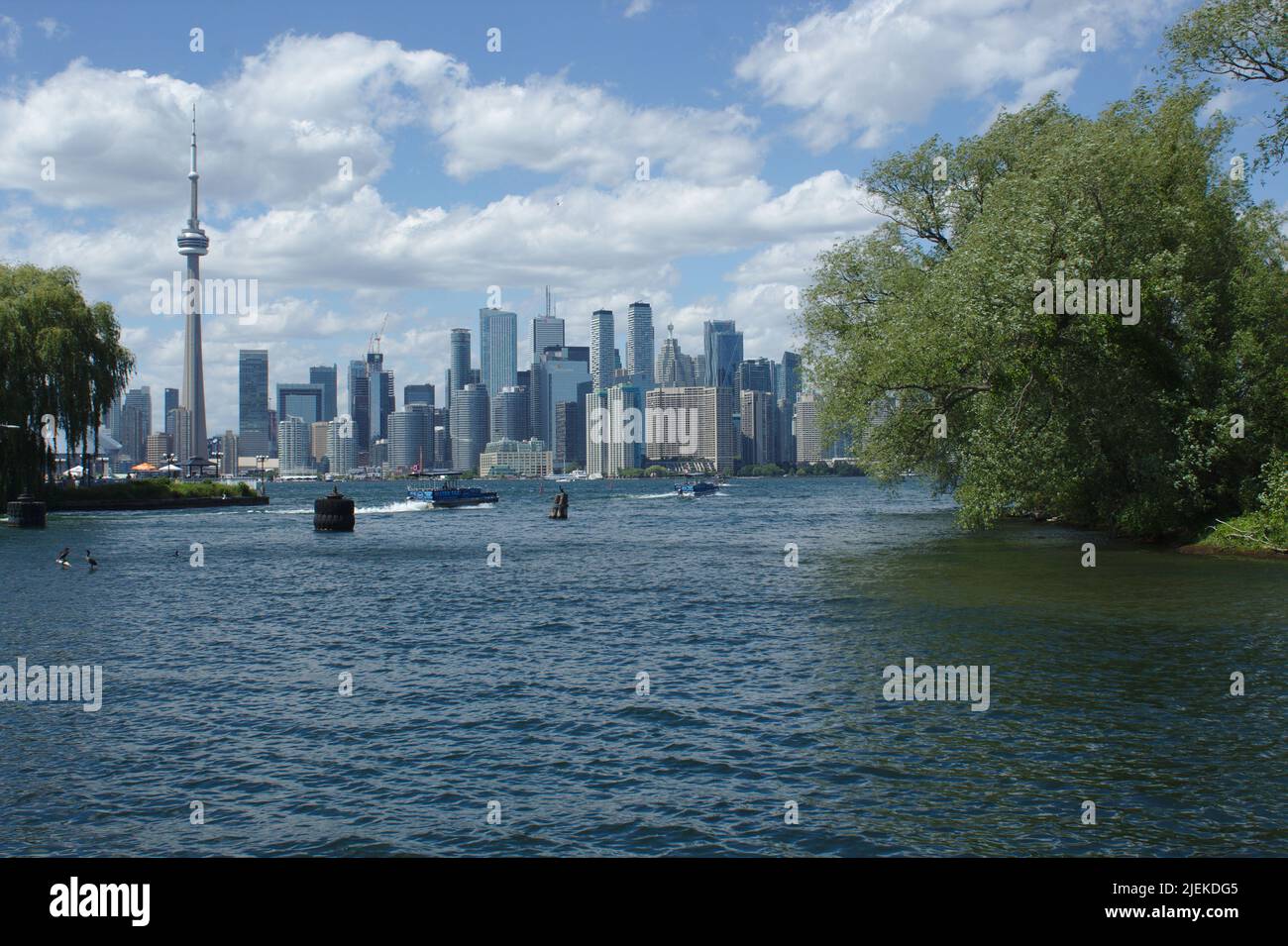 Toronto skyline from the Islands Stock Photo - Alamy