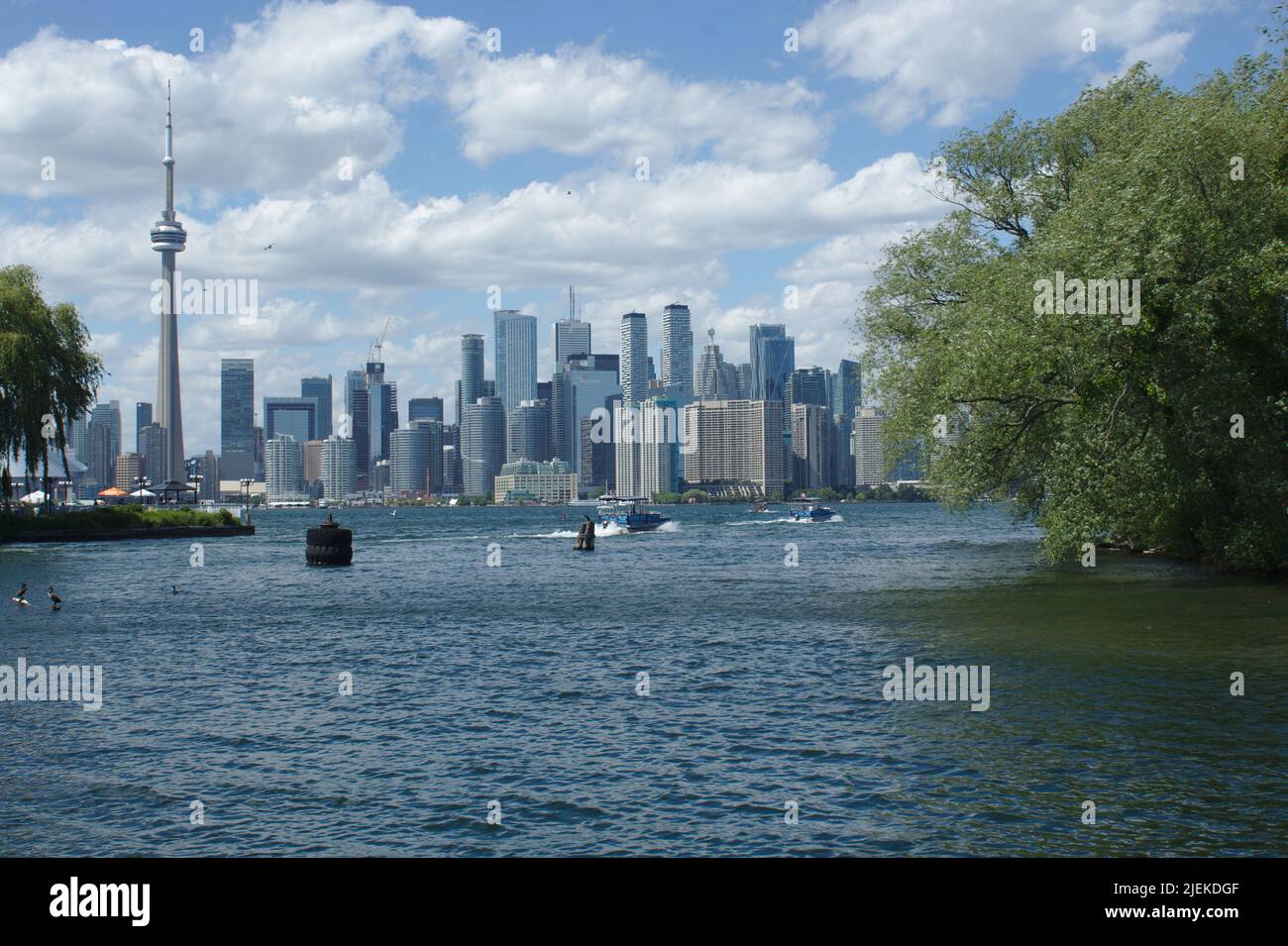 Toronto skyline from the Islands Stock Photo - Alamy