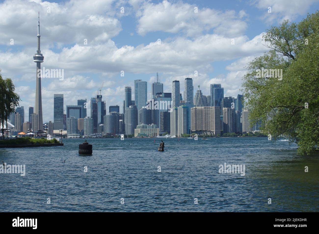 Toronto skyline from the Islands Stock Photo - Alamy