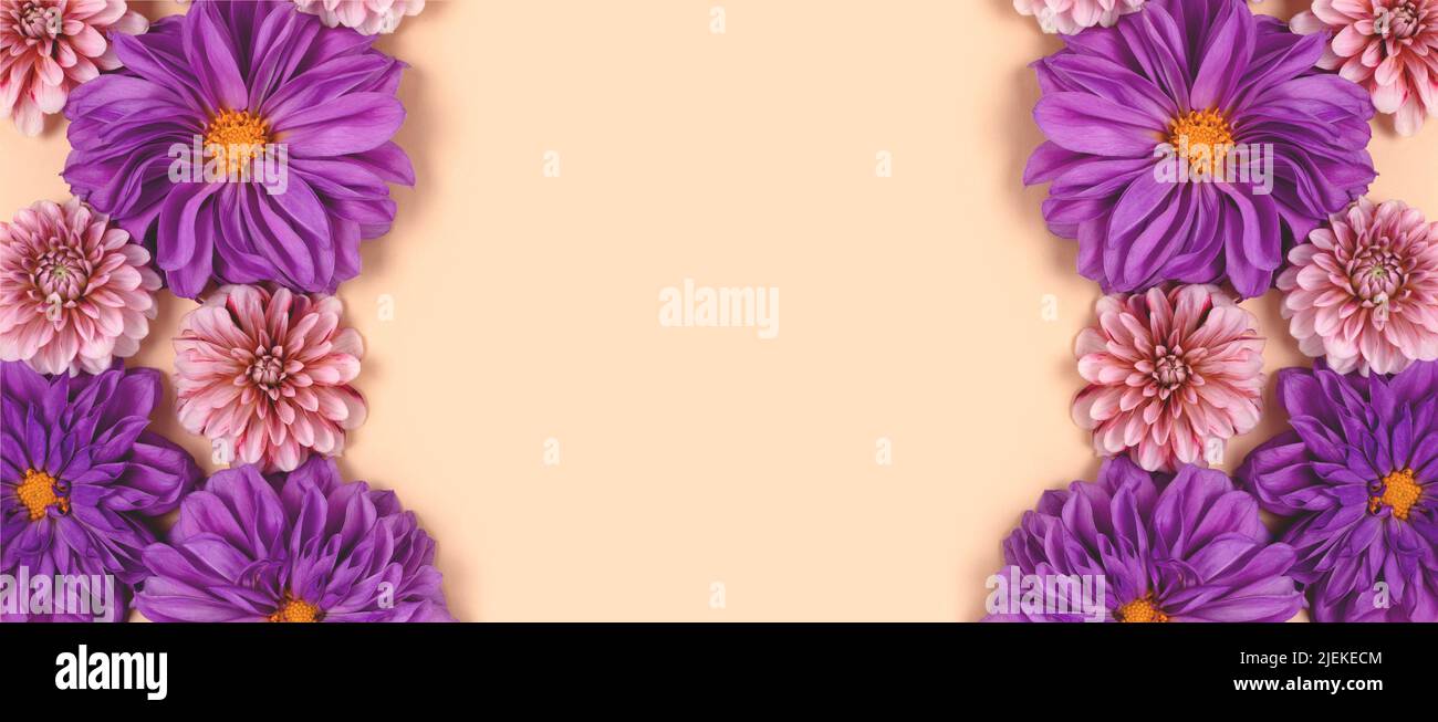 Banner with dahlia flowers texture on a beige background with copyspace ...
