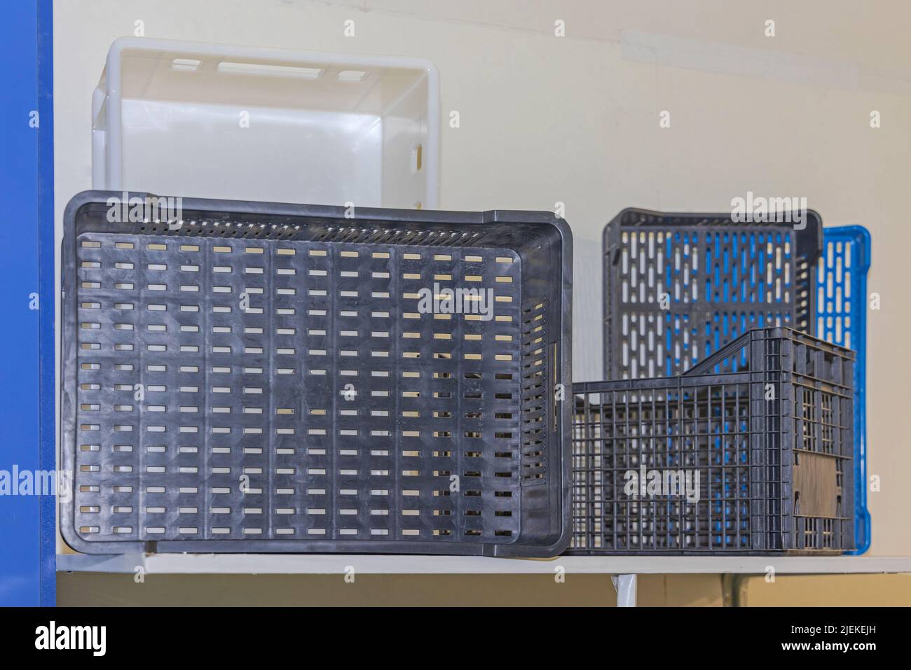 Agriculture Transport Plastic Crates for Farm Produce Stock Photo - Alamy