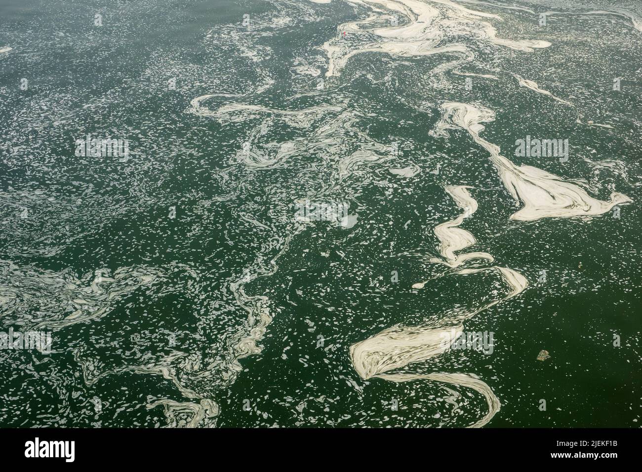 Floating pollution on the river Nile, Egypt Stock Photo - Alamy