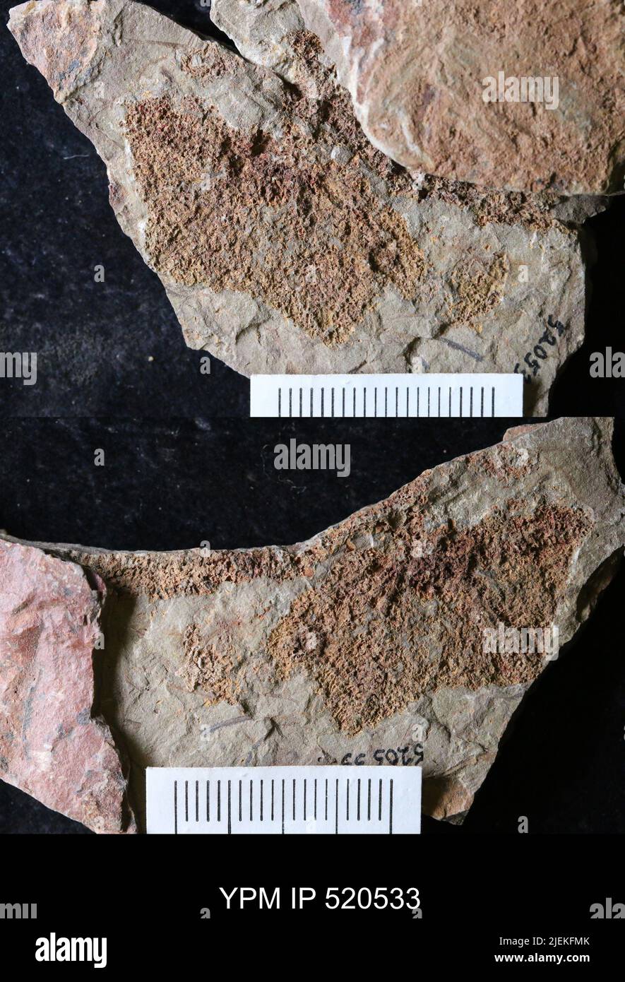 Oceanic plates hi-res stock photography and images - Alamy