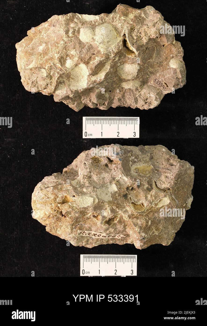 Excavata hi-res stock photography and images - Alamy