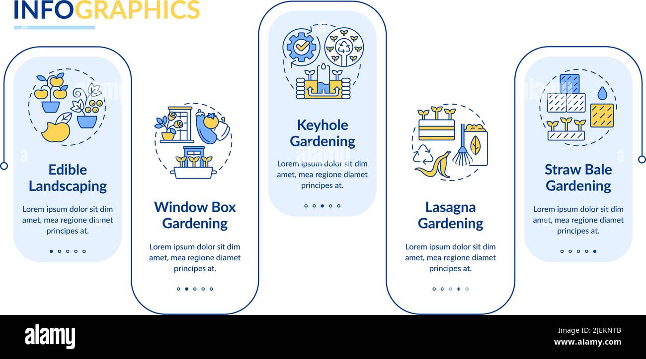 Ideas for gardeners rectangle infographic template Stock Vector Image ...