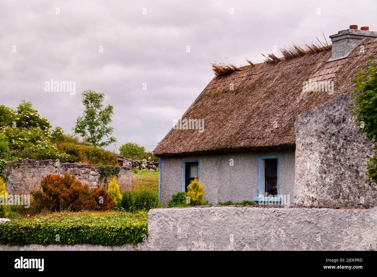 Kinvara Irish thatched roof cottage Stock Photo - Alamy