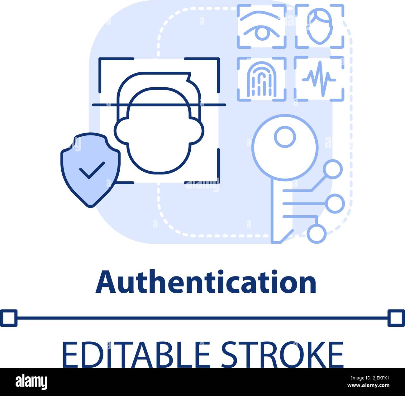 Authentication light blue concept icon Stock Vector Image & Art - Alamy