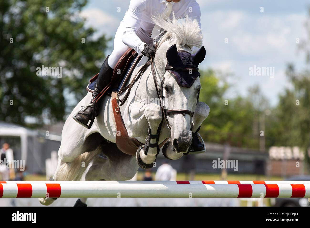 Horse Jumping, Equestrian Sports, Show Jumping themed photograph Stock ...