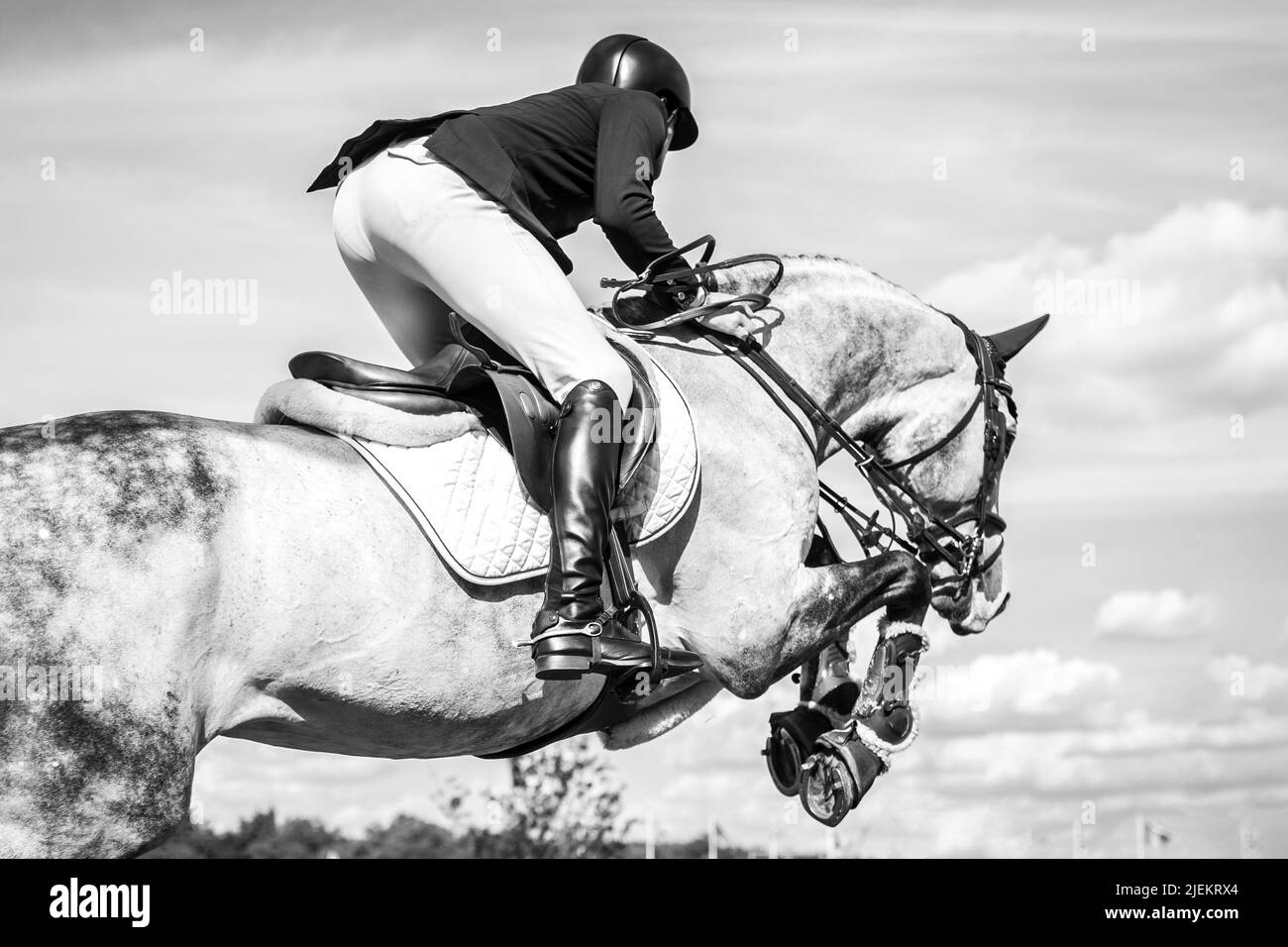 Horse Jumping, Equestrian Sports, Show Jumping themed photograph Stock ...