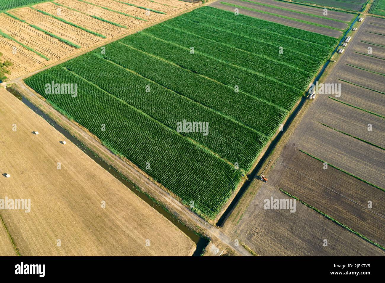 Photographic documentation of the cultivations of the fields seen from ...