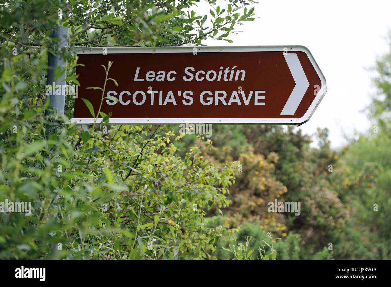 Scotia's Grave sign near Tralee in County Kerry Stock Photo - Alamy