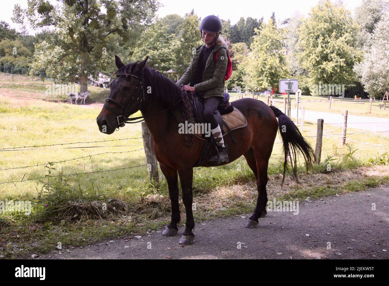 A pretty young lady with her pony Stock Photo - Alamy